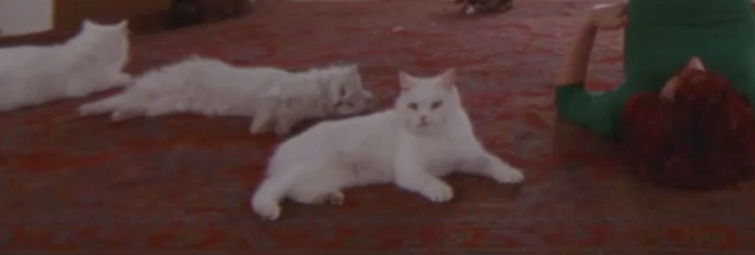 A Clockwork Orange (1971) - Cinema Cats