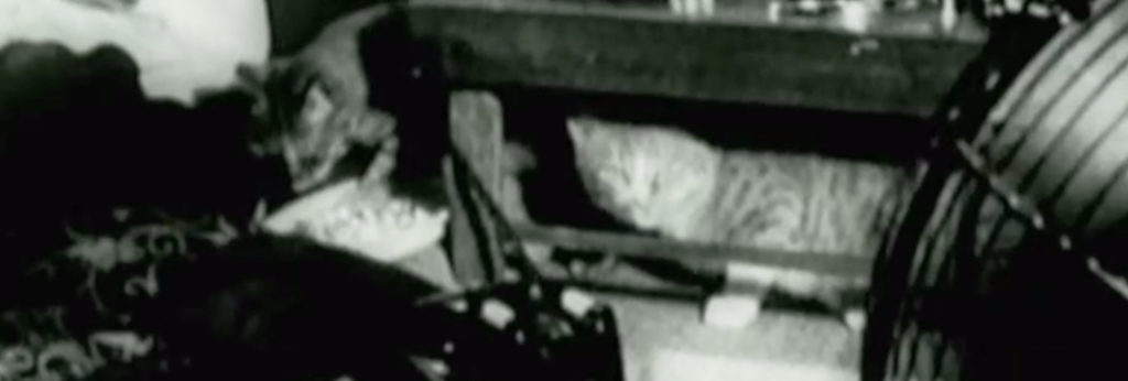 Tetsuo (1989) - Cinema Cats