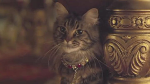 Fantasy Archives - Page 9 of 11 - Cinema Cats