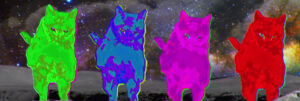 Moonwalk (2014) - Cinema Cats