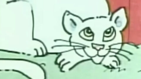 sesame street Archives - Cinema Cats
