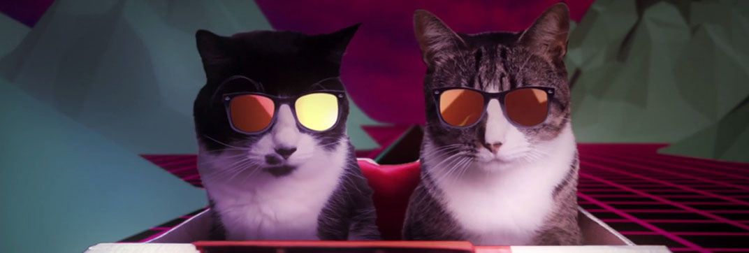 Dreams Are Real (2013) - Cinema Cats