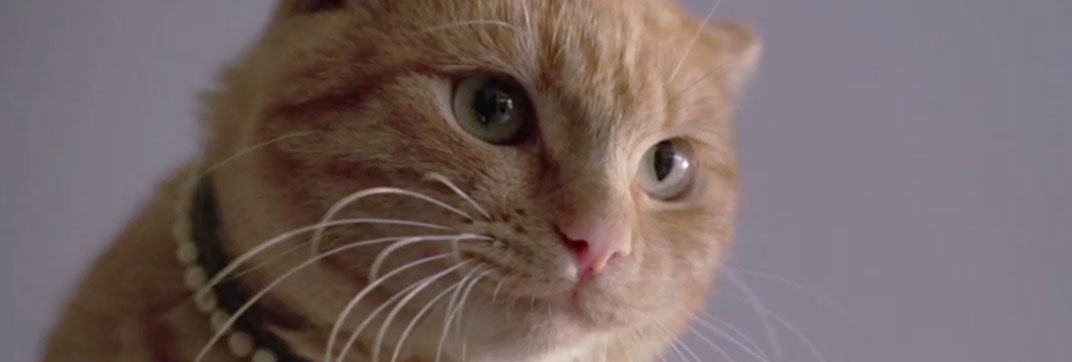 The First Power (1990) - Cinema Cats