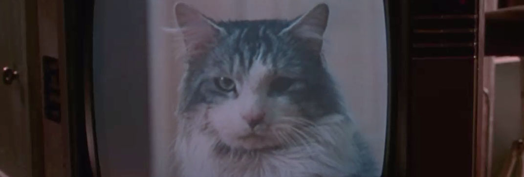 Home Alone 3 (1997) - Cinema Cats