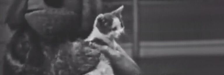 The Jimmy Dean Show - "Episode 1.25" - Cinema Cats
