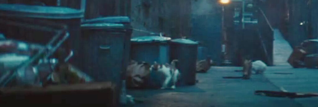 West Side Story (2021) - Cinema Cats