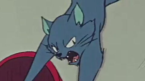 Sen'ya ichiya monogatari Archives - Cinema Cats
