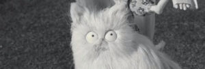 Frankenweenie (2012) - Cinema Cats