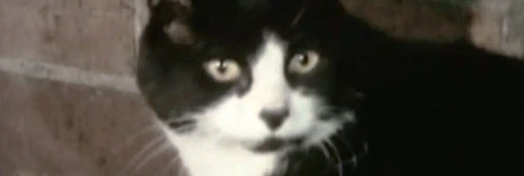 Rumpole Gif