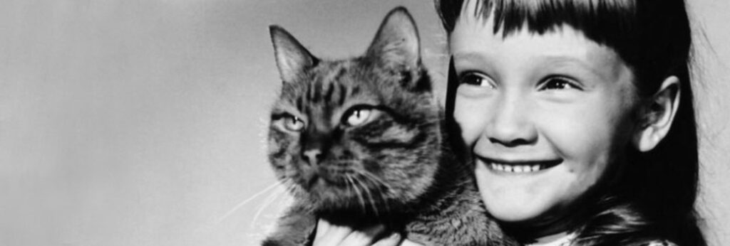 A Most Unusual Cat Movie - Cinema Cats