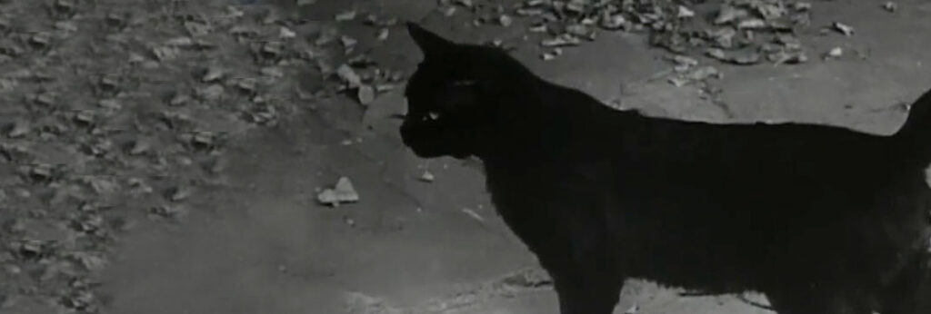 The Undead (1957) - Cinema Cats