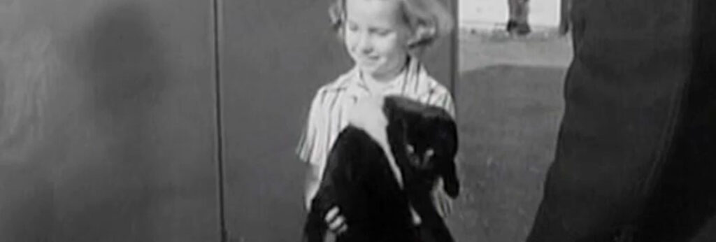 Bond of Fear (1956) - Cinema Cats
