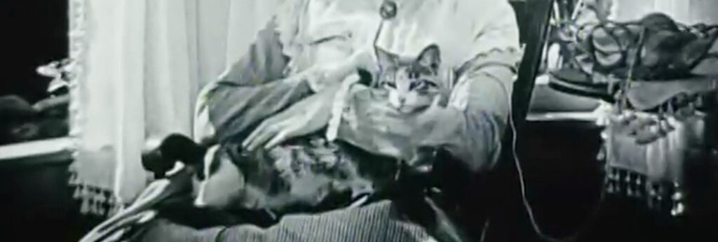 Huckleberry Finn (1920) - Cinema Cats