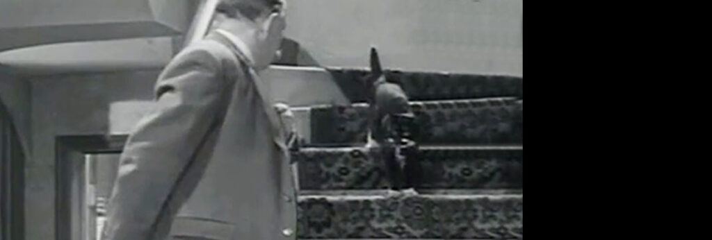 The Embezzler (1954) - Cinema Cats
