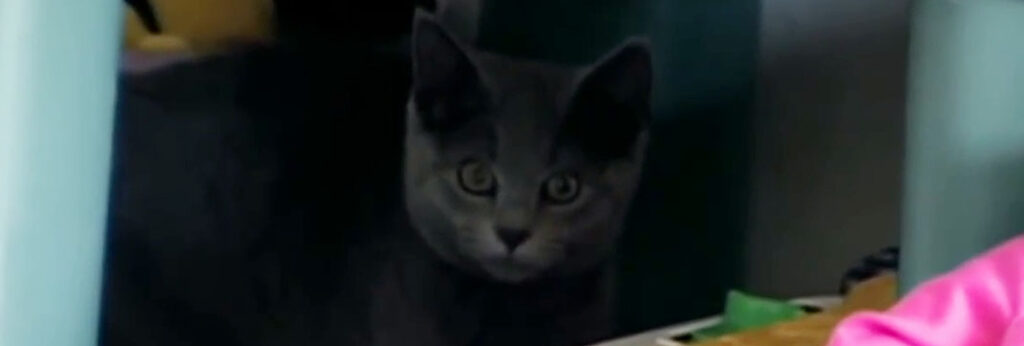The Smashing Machine (2002) - Cinema Cats